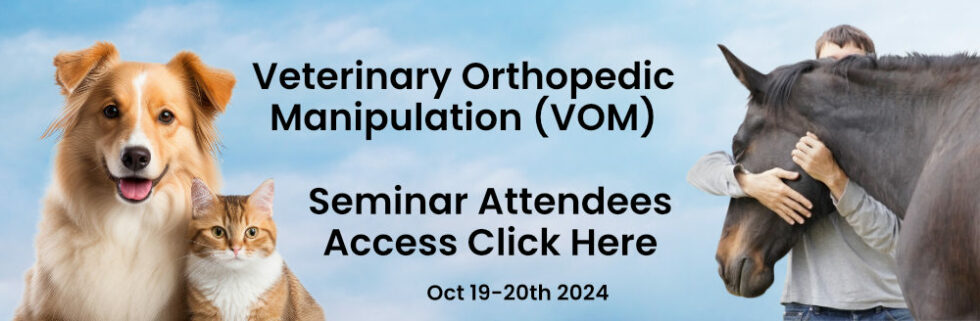 IMPAC Inc Makers Of the Arthrostim And Vibracussor Chiropractic ...